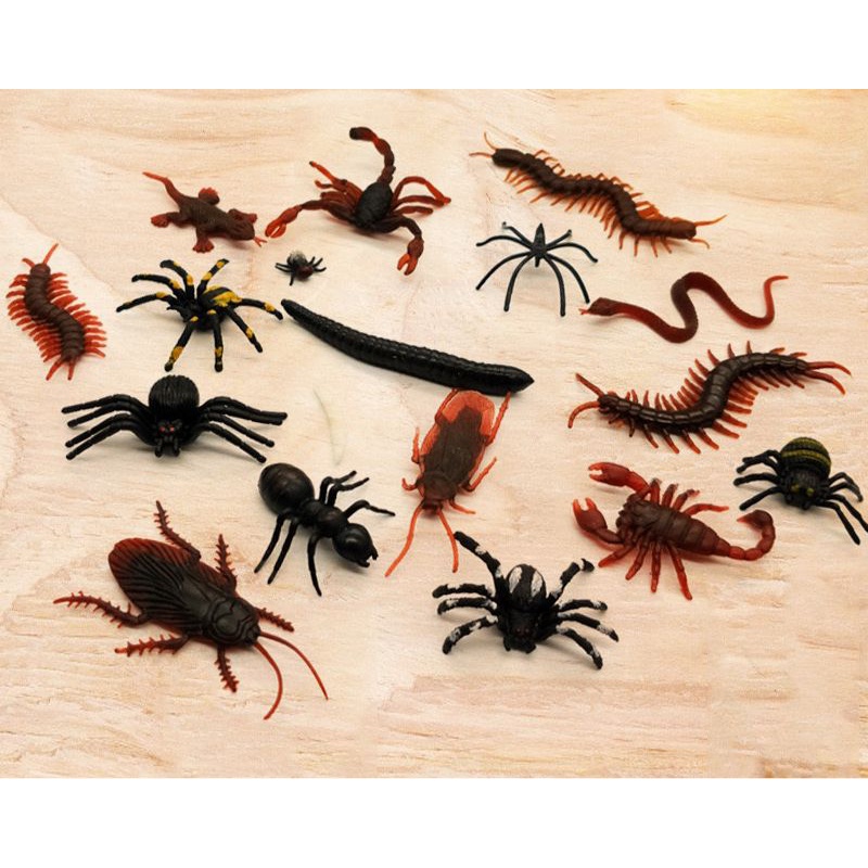 Jual MAINAN PRANK SERANGGA PALSU CACING ULAT EDUKASI BELAJAR | Shopee ...