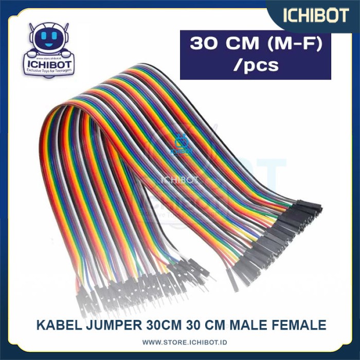 Jual Kabel Jumper 30cm 30 cm Male Female Cable Arduino Harga per Pcs ...