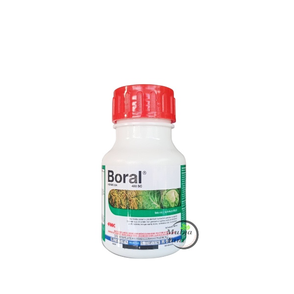 Jual Herbisida Boral 480 EC - 100ML | Shopee Indonesia
