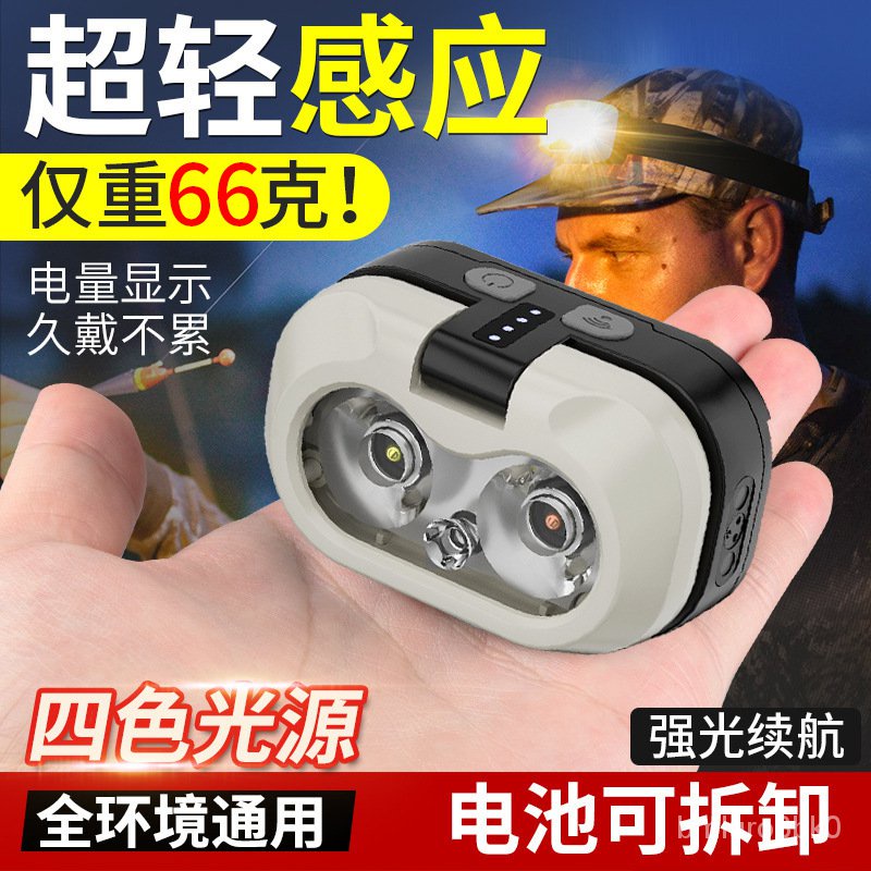 Jual Lampu Depan Induksi Mini, Lampu Memancing Malam Terang Luar Ruangan Daya Tahan Lama, Lampu ...