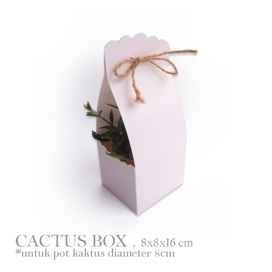 Jual 10 pcs cactus box dus pink kaktus souvenir size 8 x 8 x 16 cm ...