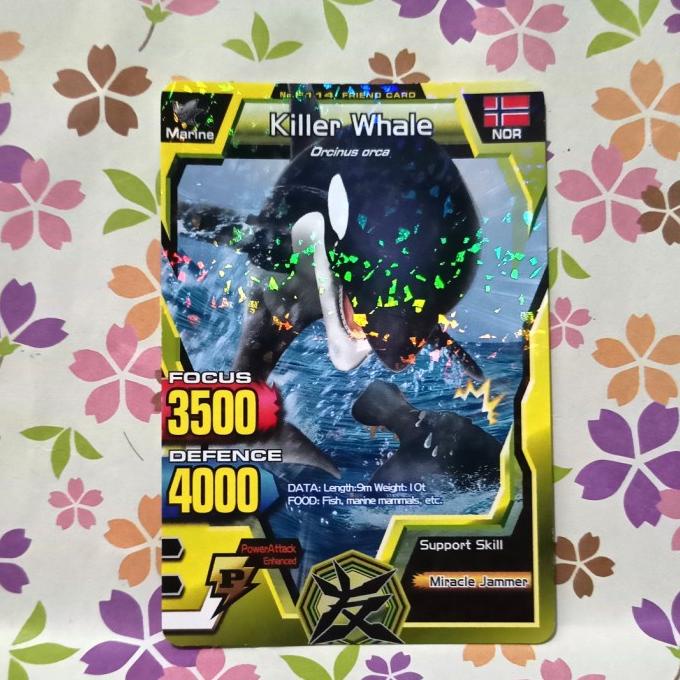 Jual strong animal kaiser maximum friend card normal killer whale m3 ...
