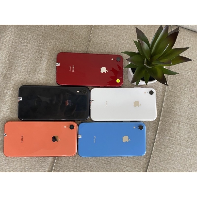 Jual IPHONE XR 64GB & 128GB SECOND ORIGINAL FULLSET MULUS BERGERANSI | Shopee Indonesia