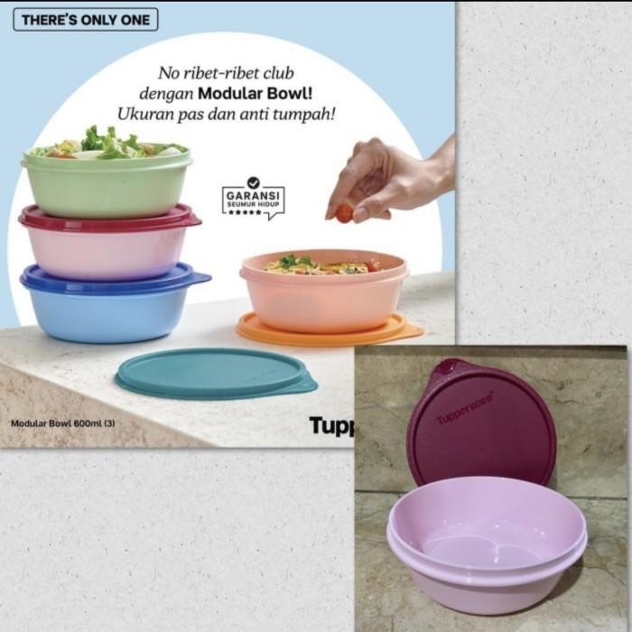 Jual TEMPAT MAKAN TUPPERWARE MODULAR BOWL 600 ML UNTUK WADAH BERKUAH ...