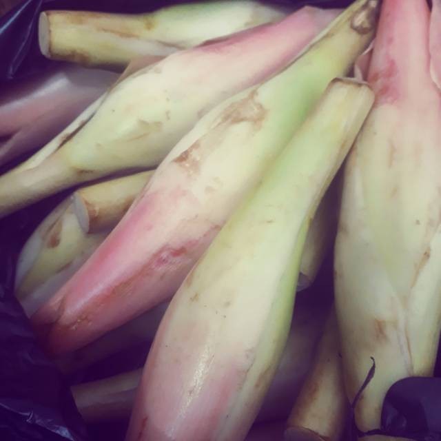 Jual Kecombrang Kembang Rias Kincong 1kg JAC | Shopee Indonesia