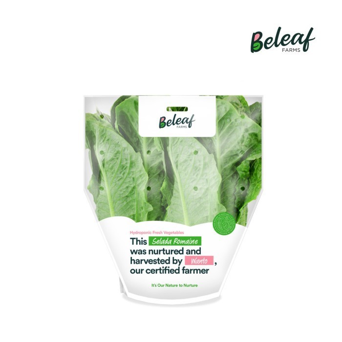 Jual Beleaf Farms Selada Romaine Hidroponik 225 gram | Shopee Indonesia
