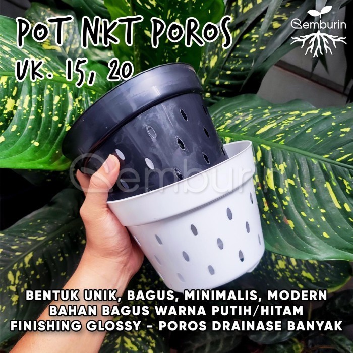 Jual [TERMURAH] Pot NKT Poros 15(14,8cm) 20(18.3cm) Bolong Drainase ...