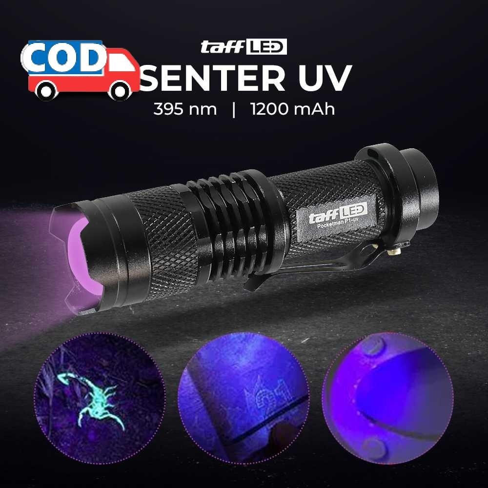 Jual Senter LED Ultraviolet UV 395nm Mini Set Lengkap Alat Deteksi Uang | Shopee Indonesia