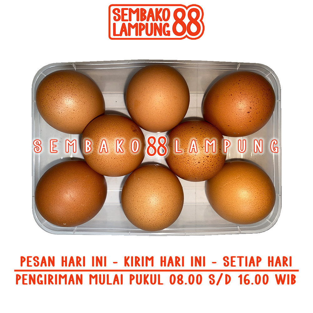 Jual Telur Ayam Negeri 500 Gr | Sembako Lampung 88 | Shopee Indonesia