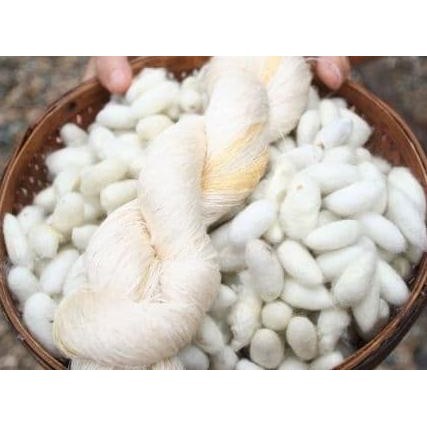 Jual Benang Sutra Asli 100% Premium | Murah | Baru | Shopee Indonesia