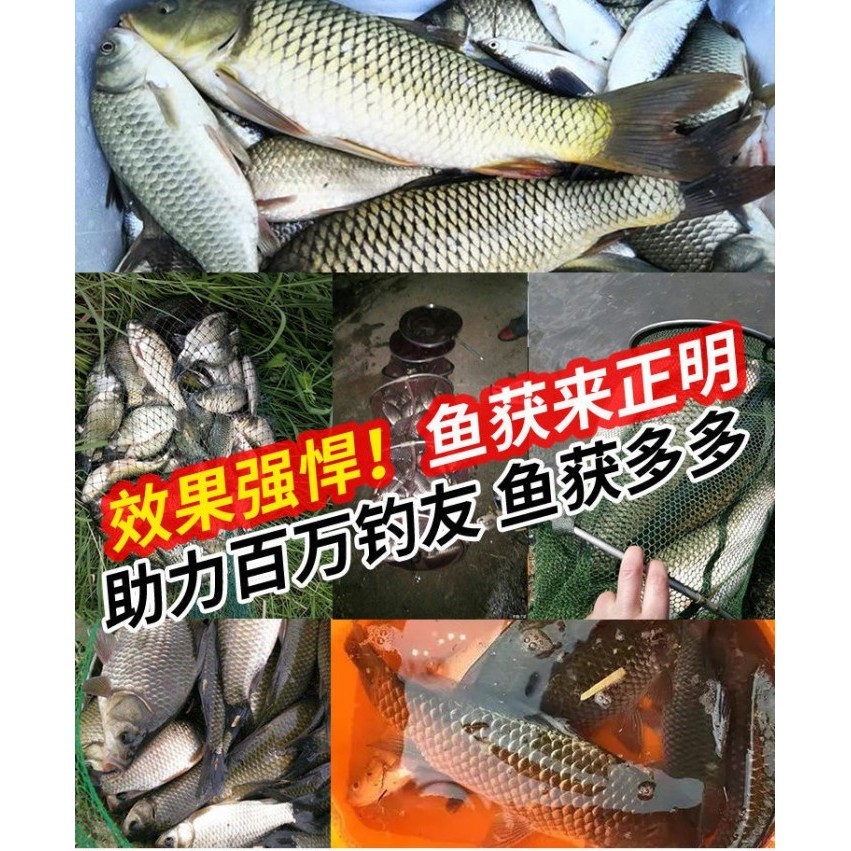 Jual Essen Wangi Gandum Dan Ubi Jalar Aroma Wangi Segar Original China ...