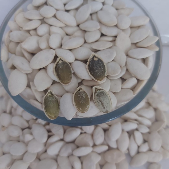 Jual Kuaci Putih Atau Biji Labu Asin Ringan 500Gram | Shopee Indonesia