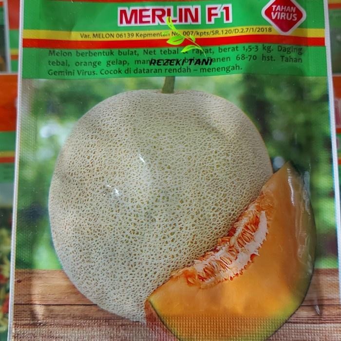 Jual Benih Melon Merlin F1 20gr Bintang Asia Daging buah Oranye ...