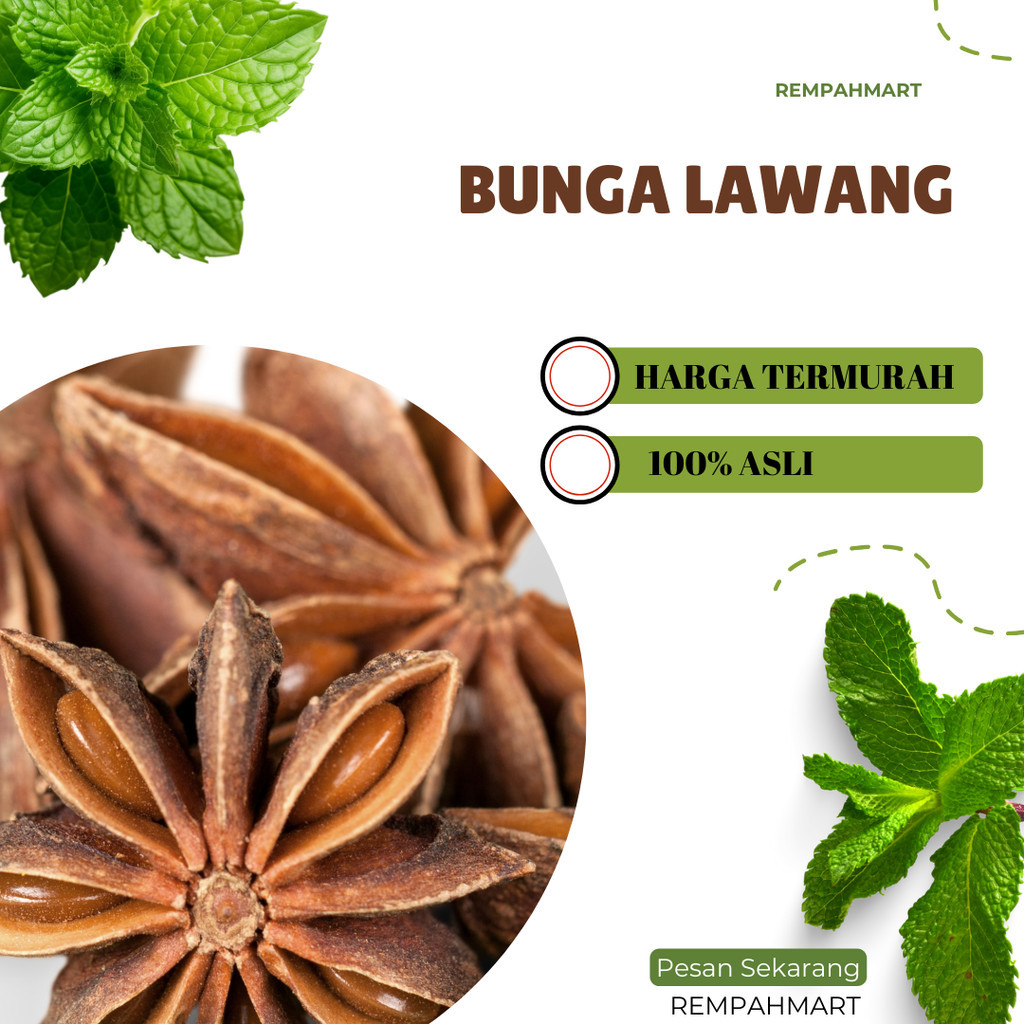 Jual 50g Bunga Lawang Rempah Masak Premium / Bunga Pekak Asli ...