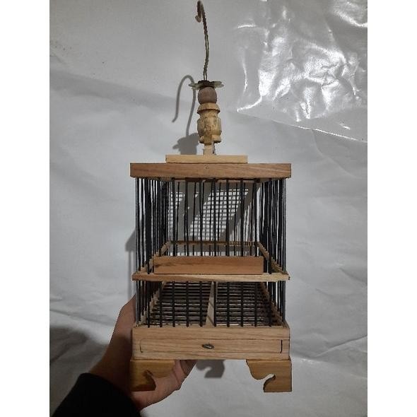 Jual Sangkar Burung Mini Untulann Murahh Prenjakk Colibry (Lagi Viral ...
