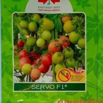 Jual Benih bibit tomat hibrida SERVO F1 5 gram Panah Merah | Shopee ...