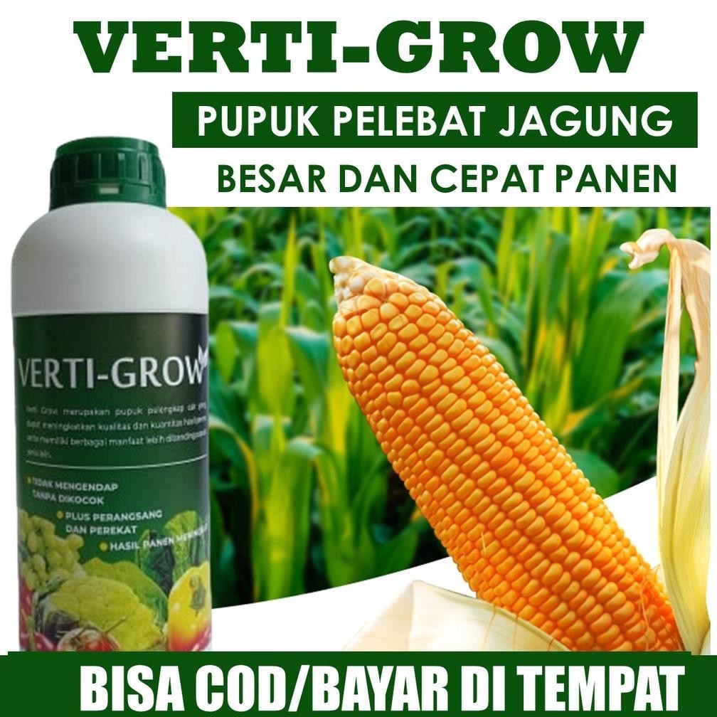 Jual Flashsale 500 Ml Pupuk Npk Cair Pelebat Dan Pembesar Jagung Verti-Grow - Obat Pembesar ...