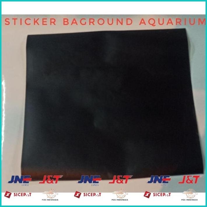 Jual BISMILLAH STIKER BAGROUND AQUARIUM PREDATOR IKAN CHANNA IWAK GALAK ...