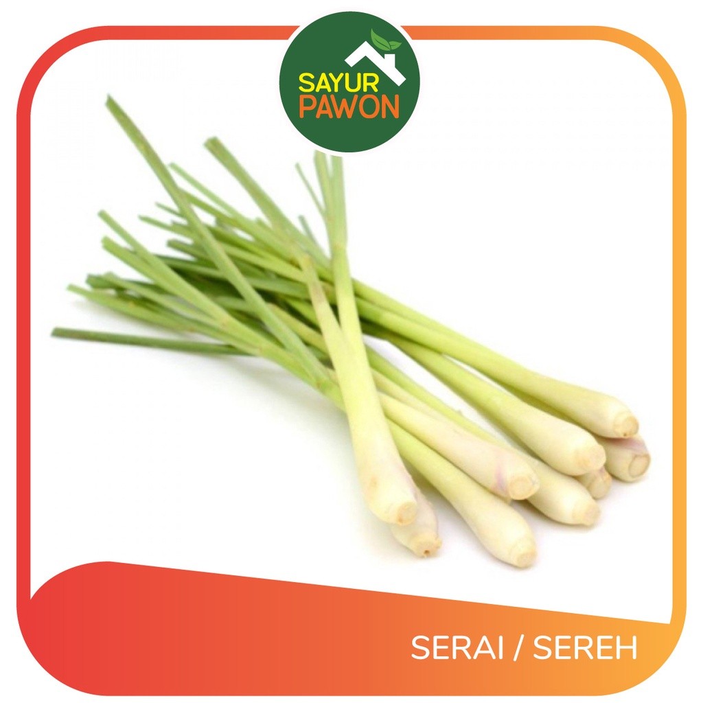 Jual Sereh Terlengkap & Harga Terbaru Mei 2026 | Shopee Indonesia
