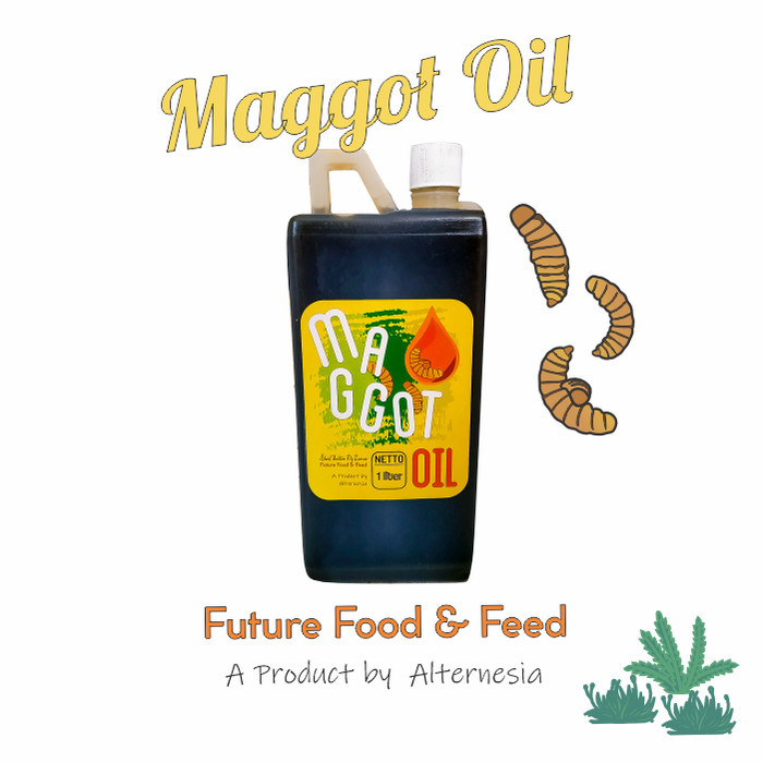 Jual Minyak Maggot Oil Arwana, Channa, Koi, Murai, Louhan, Reptil ...