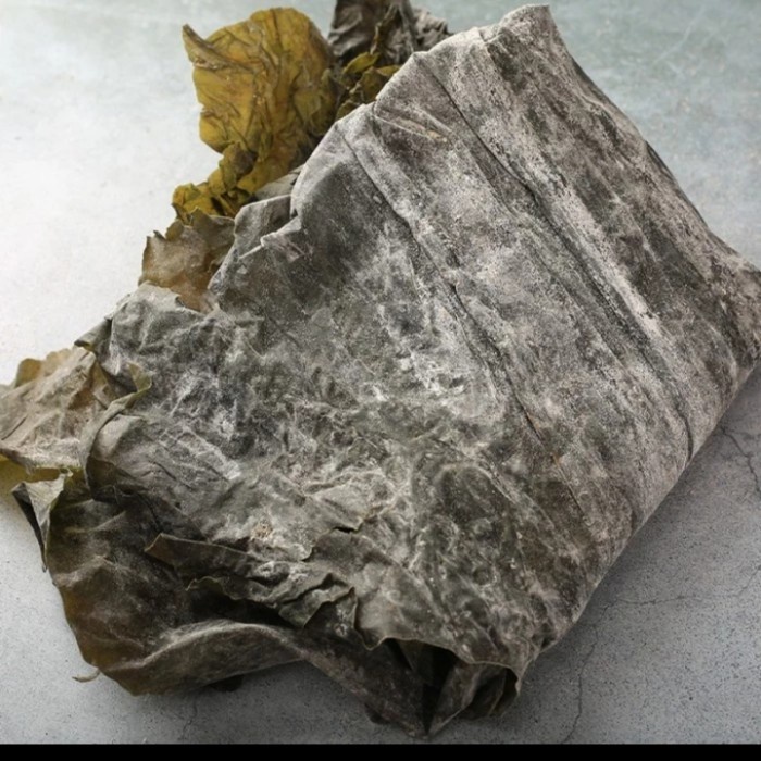 Jual Kombu Konbu Kelp Dashima Dried Seaweed Rumput Laut Kering 500Gr ...