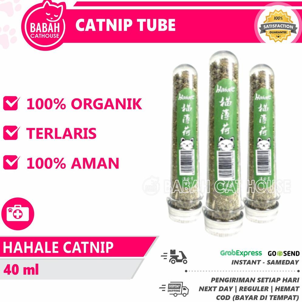 Jual Catnip BOTOL Kucing Obat Catmint tube 40ml Serbuk Kering Cat nip ...
