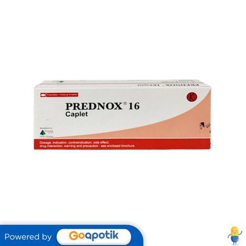 Jual PREDNOX 16 MG BOX 50 KAPLET | Shopee Indonesia