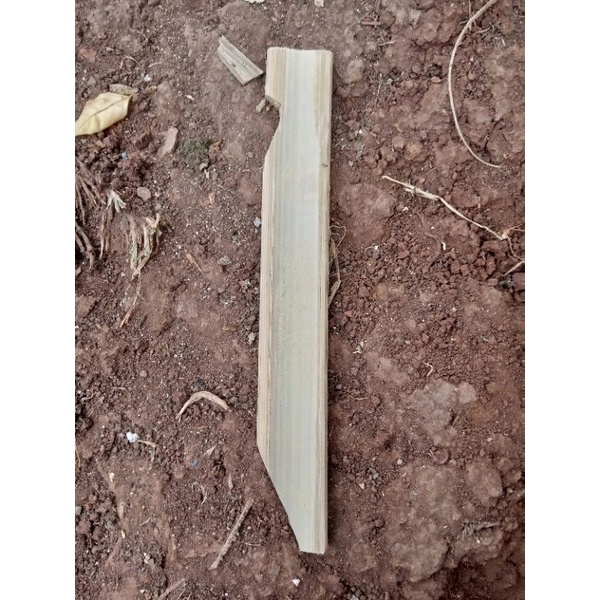 Jual Patok Bambu buat kemah, camping, proyek dan lainnya ukuran 20cm ...