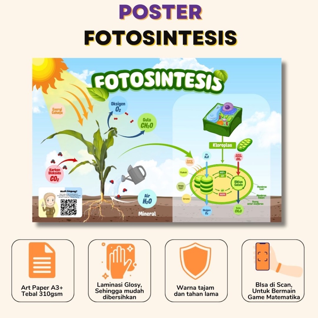 Jual Bu Guru Ria - Poster Fotosintesis Yang Dapat Di Scan Untuk Materi ...