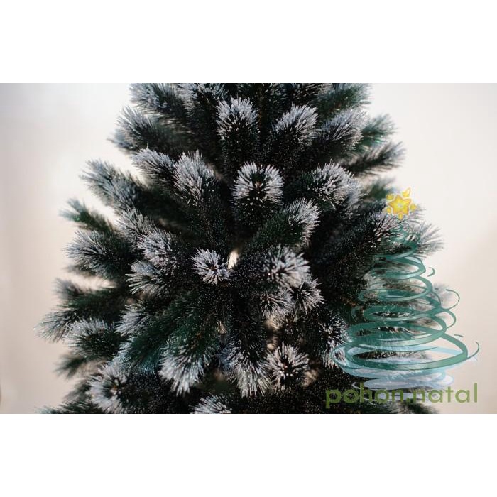 Jual Pohon Natal Alaska Rainbow Fir Tree 8Ft ( 240Cm) | Shopee Indonesia
