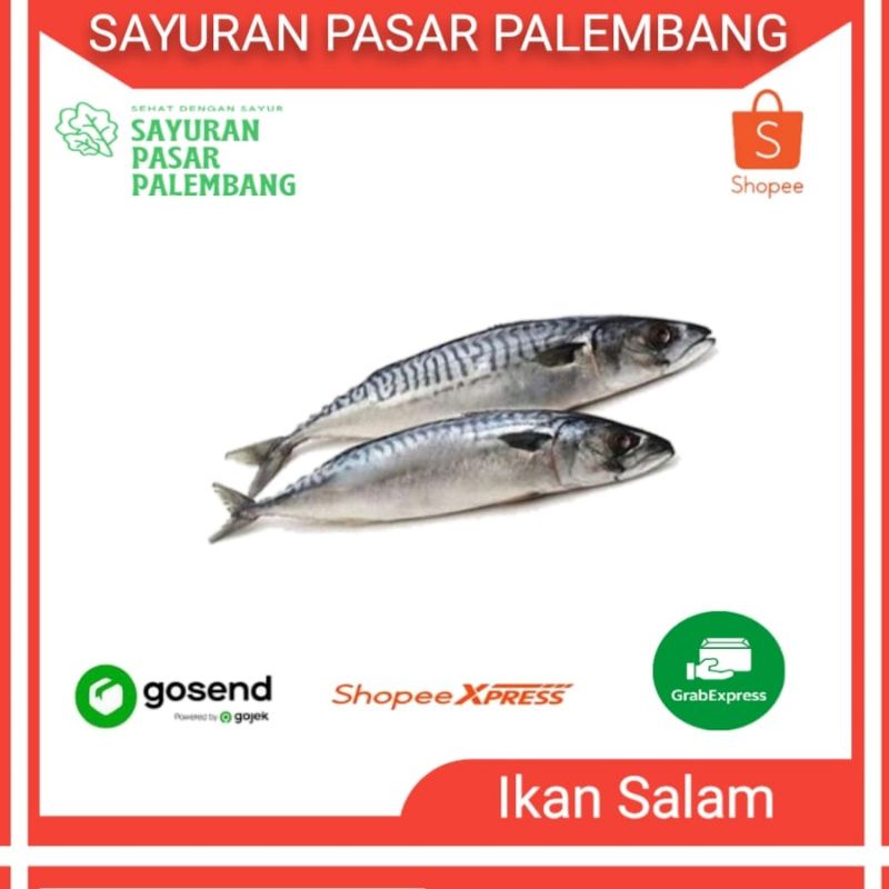 Jual Ikan Salam Fresh - Sayuran Pasar Palembang | Shopee Indonesia