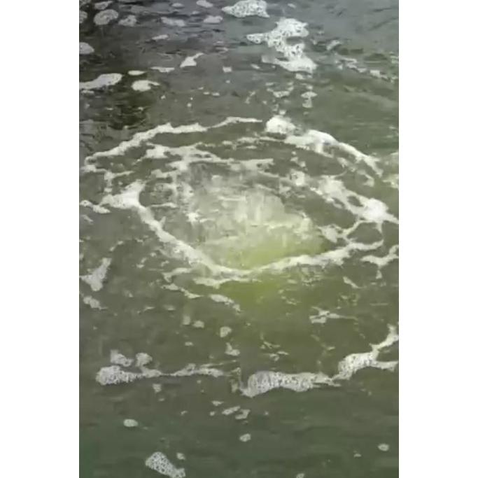 Jual Hot Sale fine bubble diffuser aerasi kolam bioflok instalasi ...