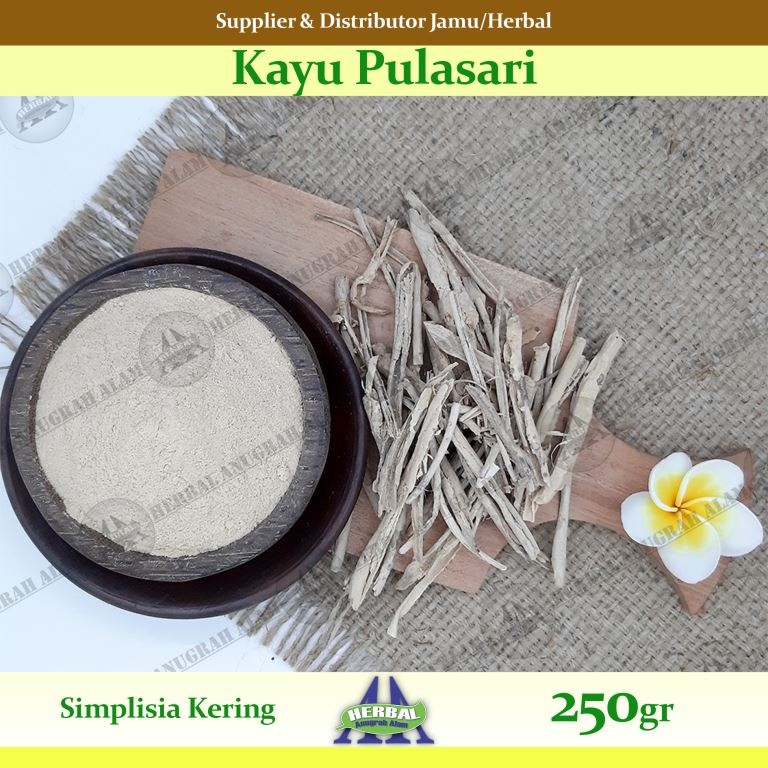 Jual Kayu Pulasari (Kering) 250Gr - 100% Murni #Herbal | Shopee Indonesia