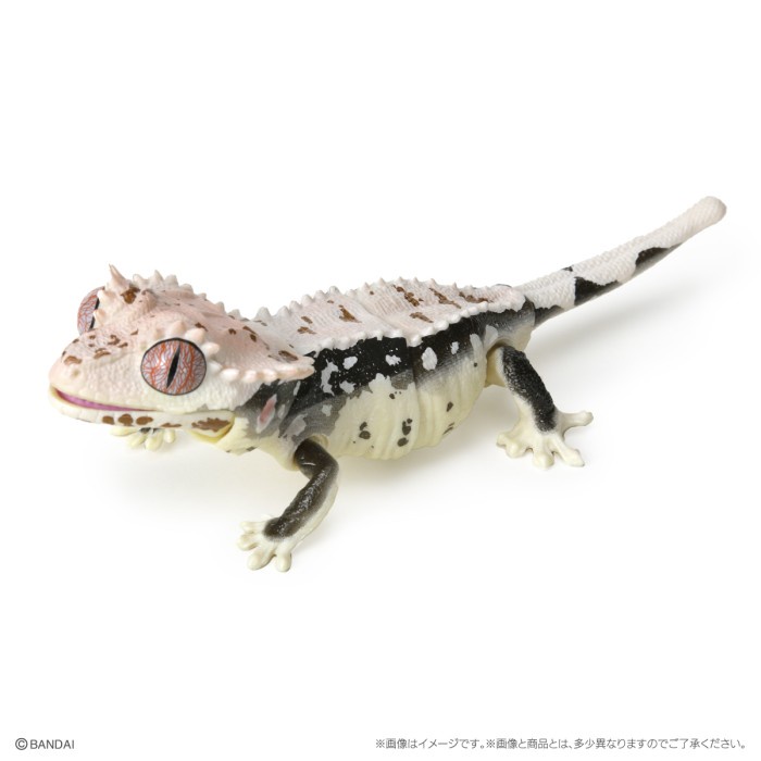 Jual READY IKIMONO MINI REPTI CRESTED GECKO GACHA GASHAPON | Shopee ...
