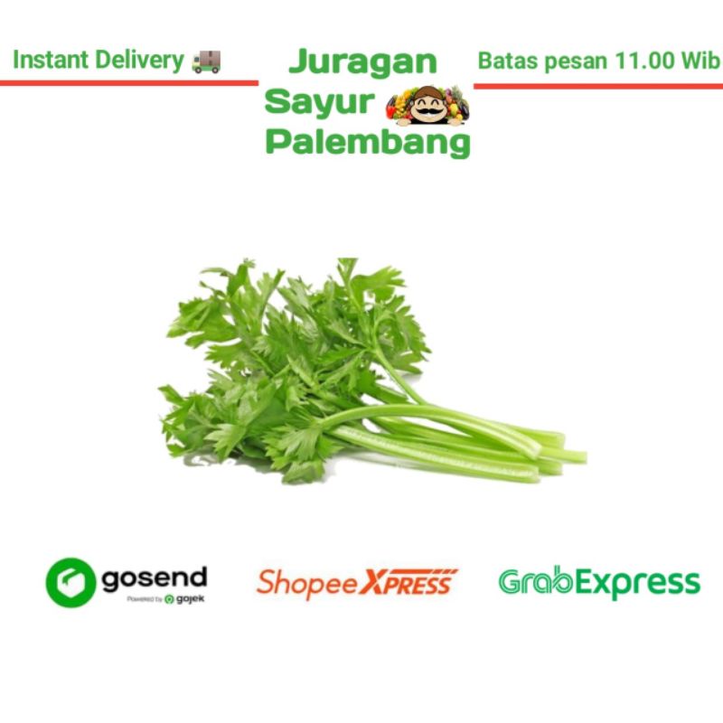Jual Daun Sop / Daun seledri - Juragan Sayur Palembang | Shopee Indonesia
