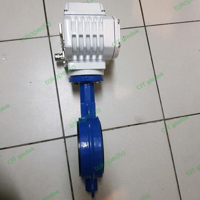 Jual Butterfly Motorized Valve 2" Inch / Actuator Electric 220V ...
