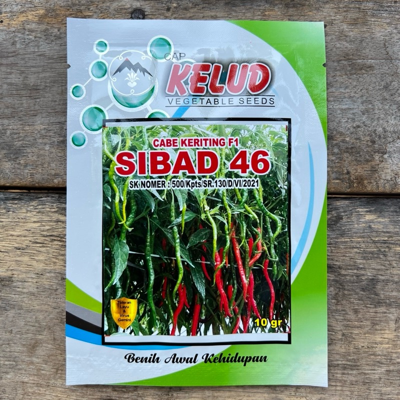 Jual Benih Cabe Keriting Sibad 46 - 10 Gram Tahan Virus | Shopee Indonesia
