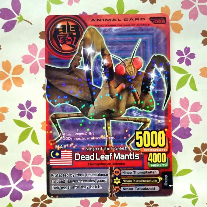 Jual Animal kaiser normal dead leaf mantis versi 5 | Shopee Indonesia