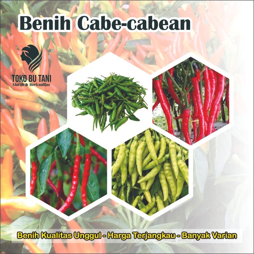 Jual BTN Benih Cabe Bibit Cabai Benih Sayuran Berkualitas | Shopee ...