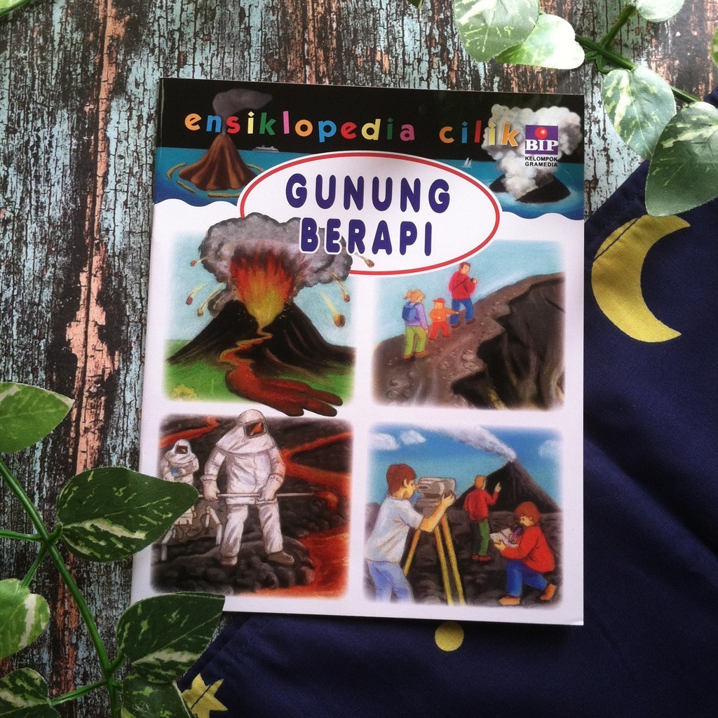 Jual Buku Pengetahuan Anak Ensiklopedia Cilik: Gunung Berapi ...
