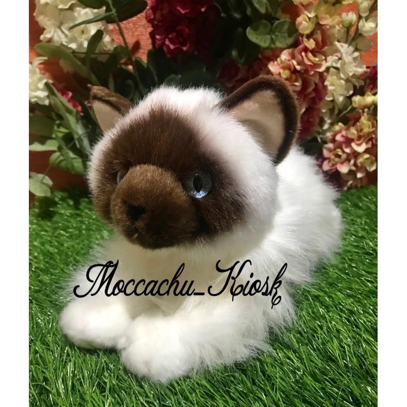 Jual BONEKA KUCING SIAM / SIAMESE CAT DOLL | Shopee Indonesia