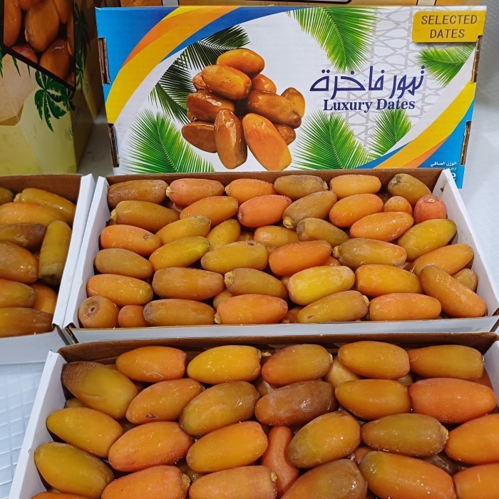 Jual Kurma - Kurma Muda Ruthob Libya 1Kg Premium Panen Terbaru | Shopee ...