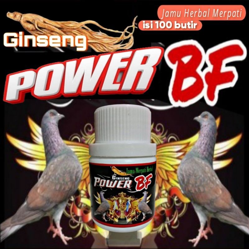Jual 100 PIL JAMU MERPATI GINSENG POWER BF STUT DOOR suplemen merpati ...