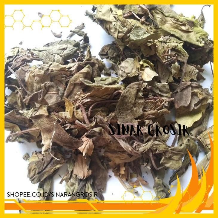 Jual DAUN KEMANDEN KERING ASLI 1KG / DAUN SENGGANI KERING PRODUK ...