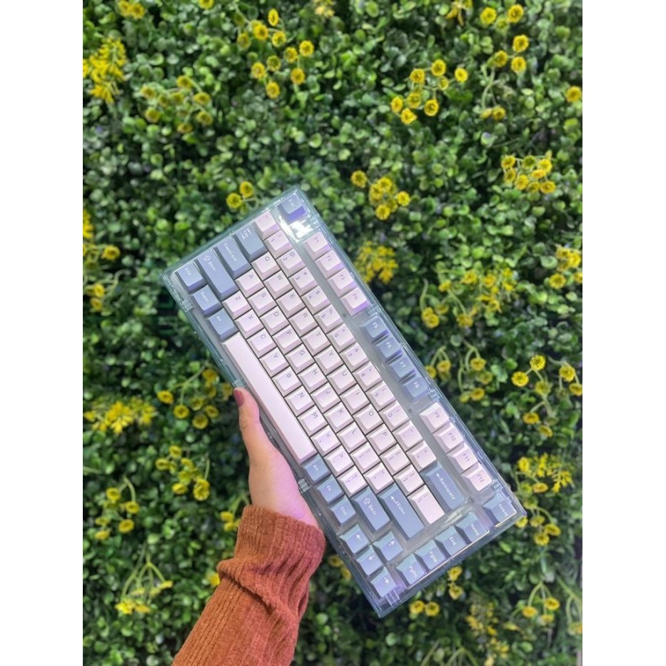 Jual Rexus Daxa M84X Ultimate Wireless Gaming Rgb Keyboard M84 X M 84 ...