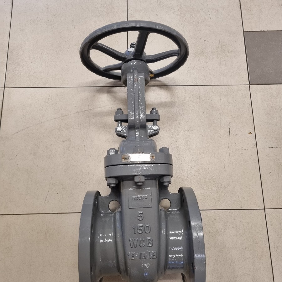 Jual Gate valve 5" inch Dn 125 WCB Ansi 150 Flange | Shopee Indonesia