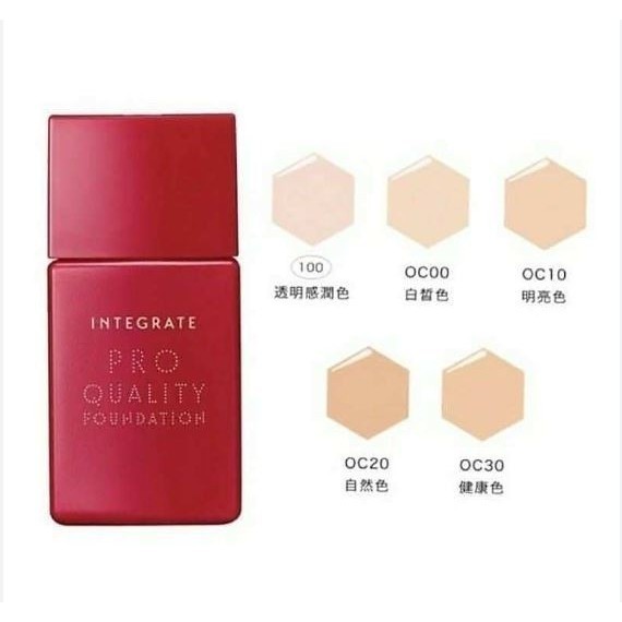 Jual SHISEIDO INTEGRATE Pro Finish Foundation SPF 30 PA+++ 30ml from ...