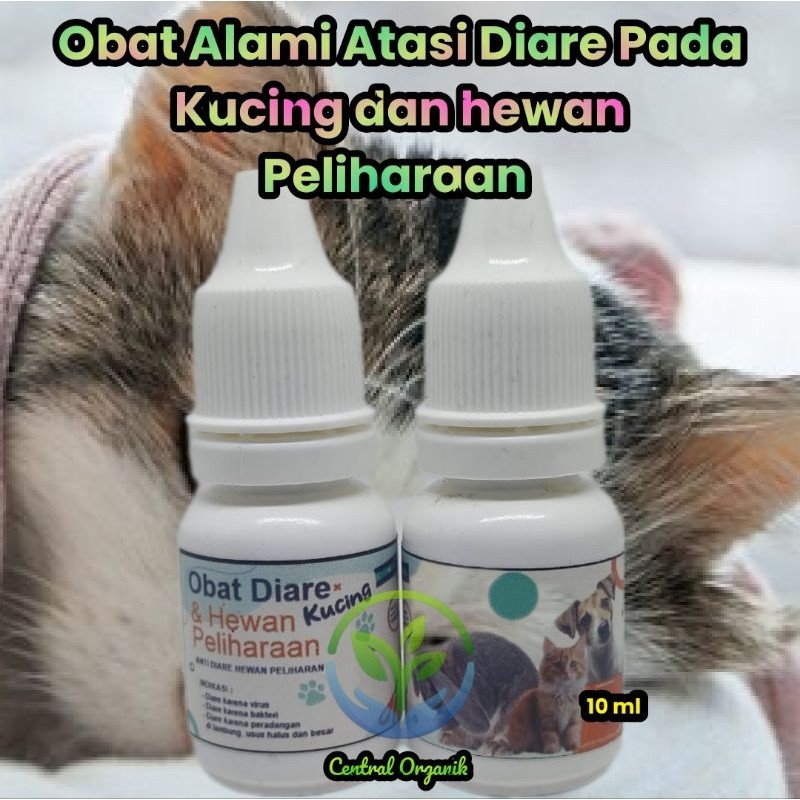 Jual Obat Kucing Alami untuk Diare dan Muntah | Shopee Indonesia