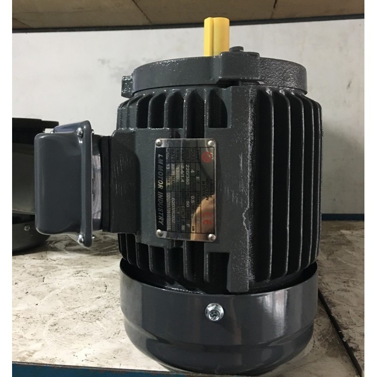 Jual Induction Motor LIMING 3 phase (Foot/AEEF) 4p/2p 0.5HP | Shopee ...