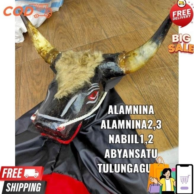 Jual BANTENG BANTENGAN TANDUK ASLI JARANAN BARONGAN KESENIAN DAERAH DC ...